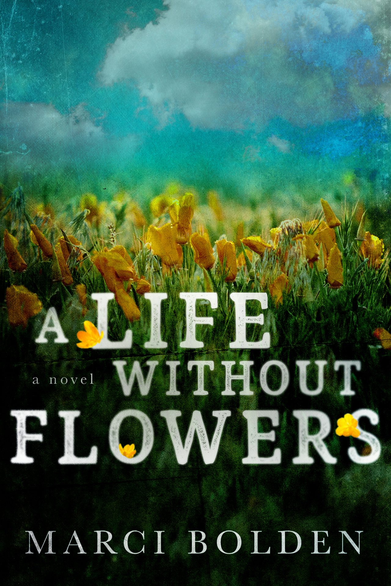 A Life Without Series - Marci Bolden